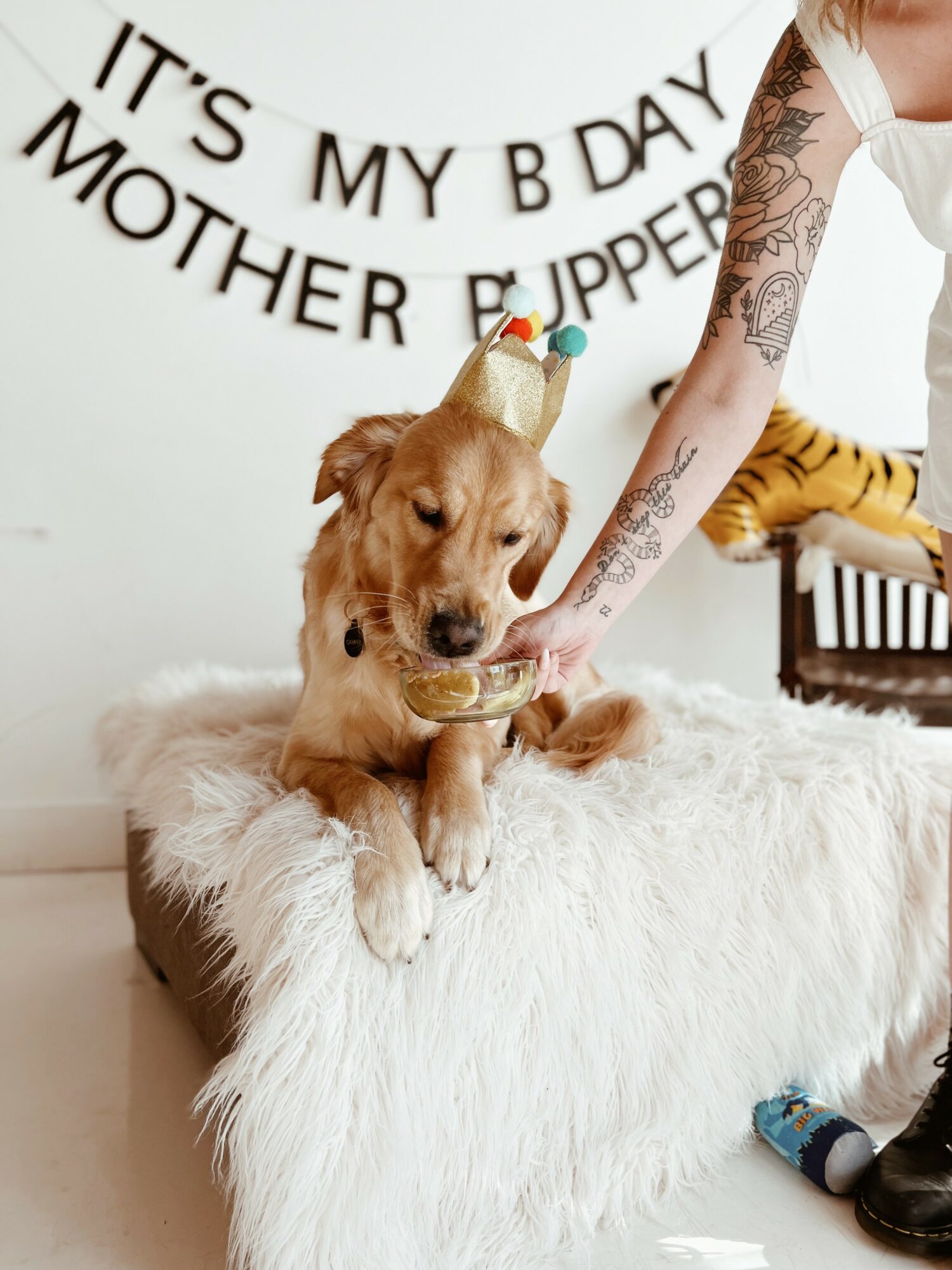 Meet Camper Funkhouser of The Grove – VoyageSTL Magazine | Inspiring ...